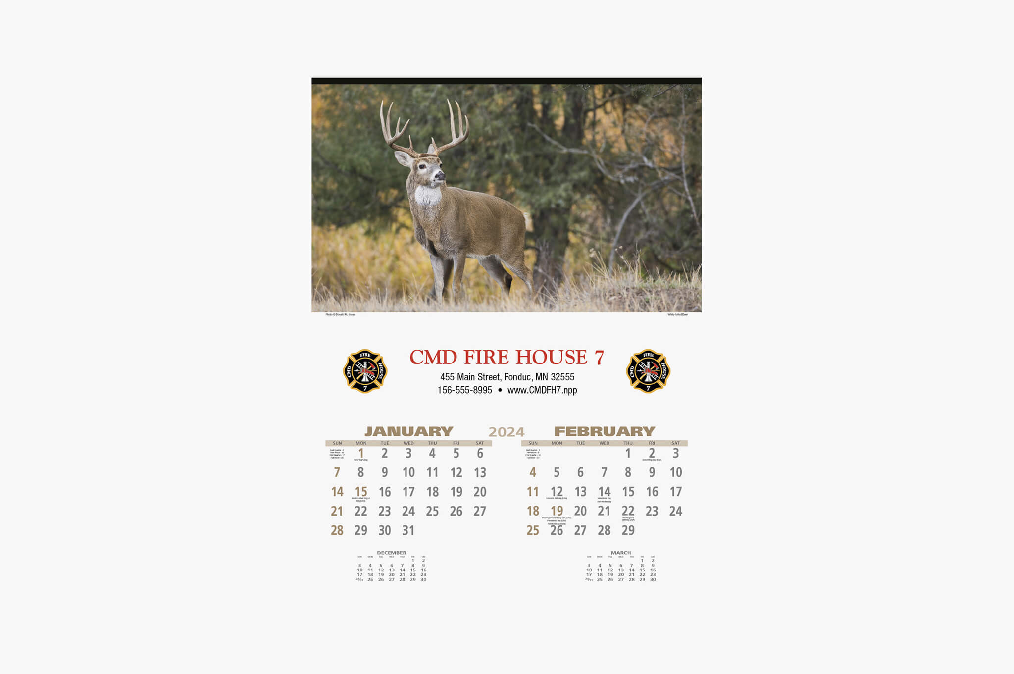 Wildlife Six-Sheet Executive Wall Calendar | HALO Branded Solutions