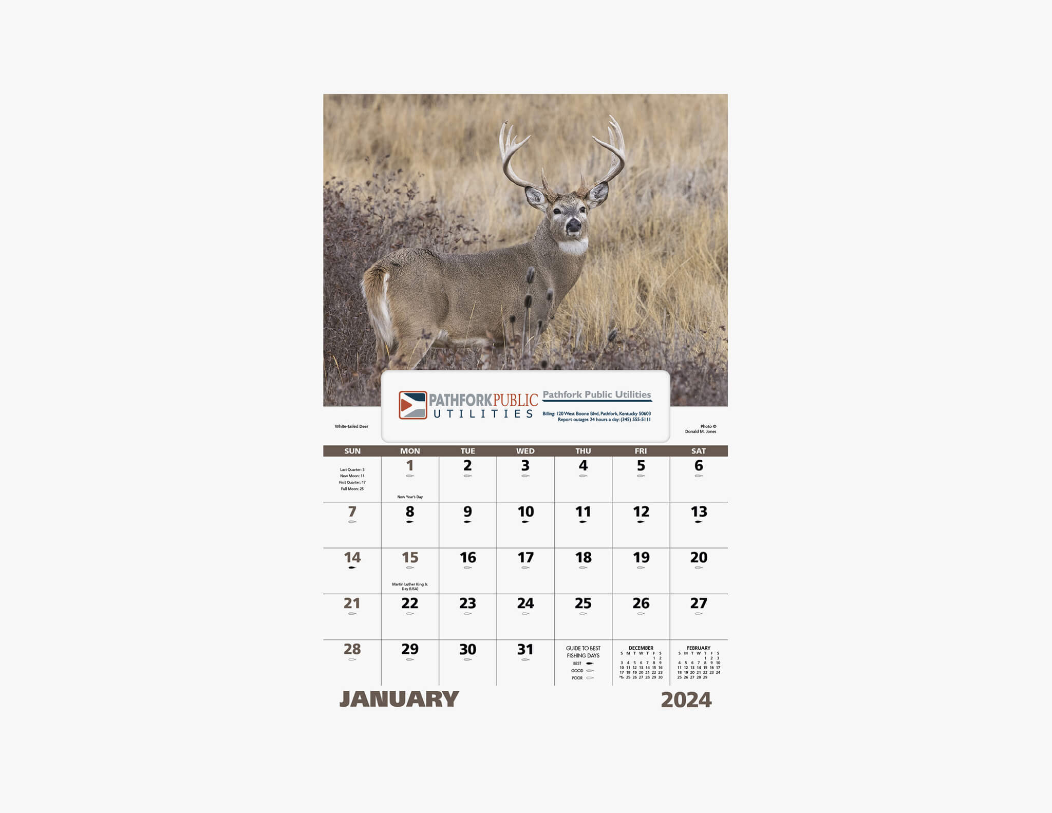 Wildlife Window Calendar | HALO Branded Solutions