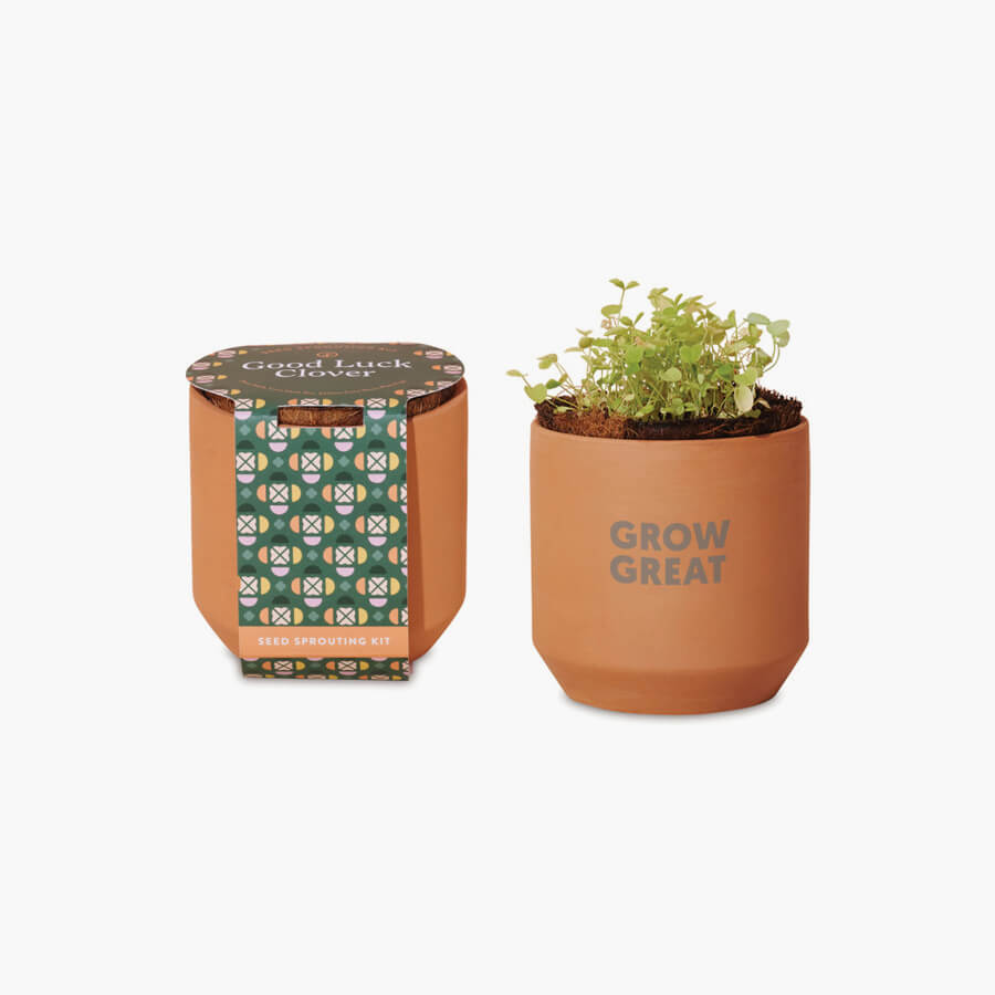 Modern Sprout® Tiny Terracotta Grow Kit Good Luck Clover | HALO Branded ...